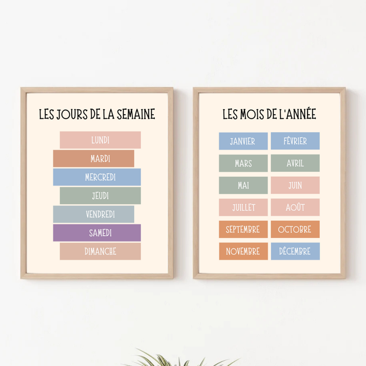 Ensemble de 25 affiches éducatives – BrainPack